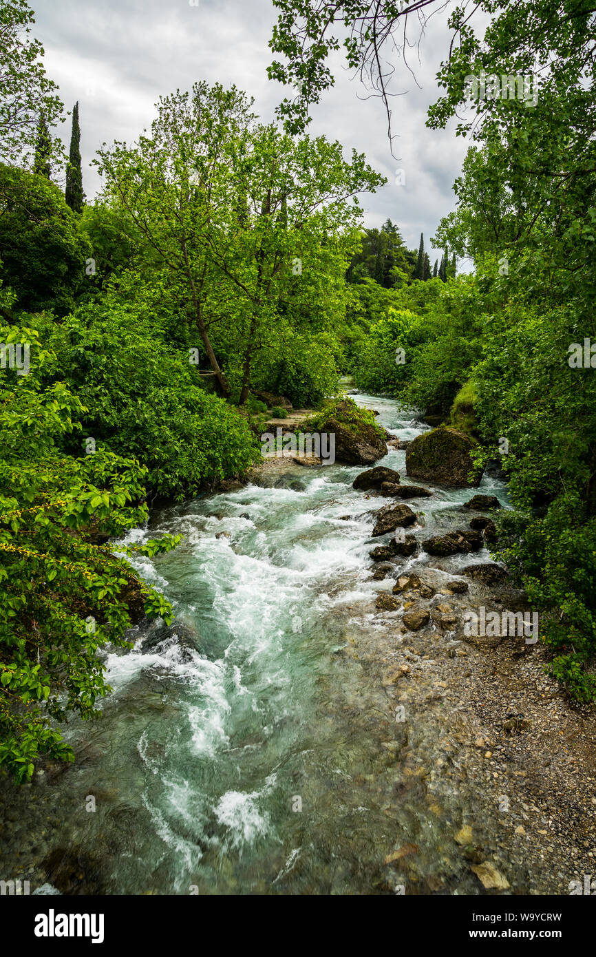 Montenegro, Beautiful turquoise river ribnica flowing alongside green ...