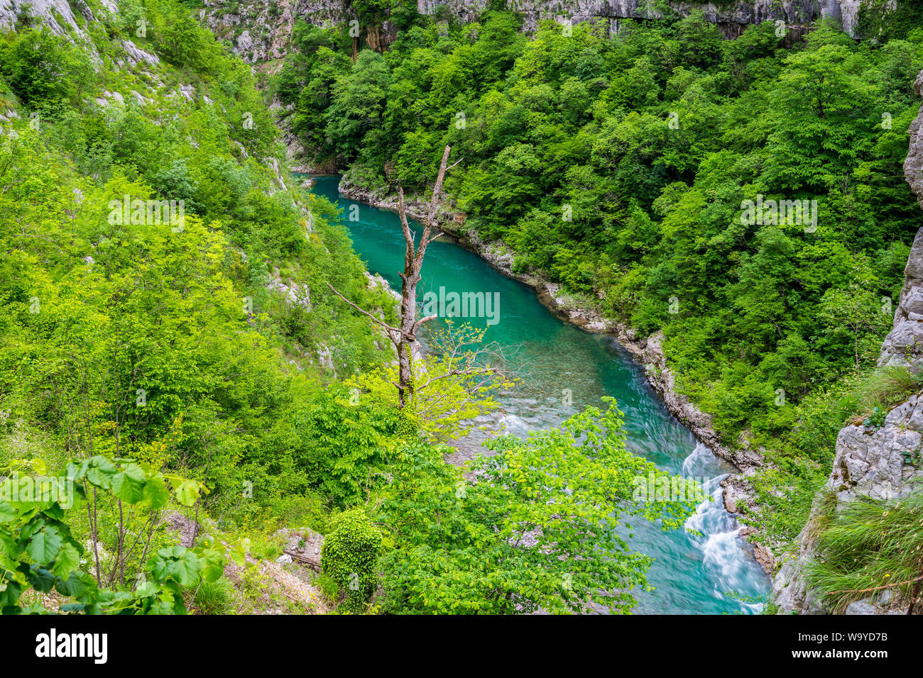 Montenegro, Turquoise clean moraca river waters flowing through green ...