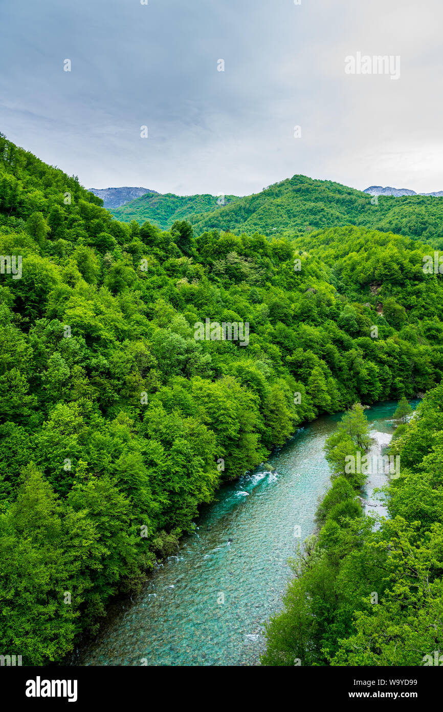 Montenegro, Mountainous green forest covered nature landscape ...