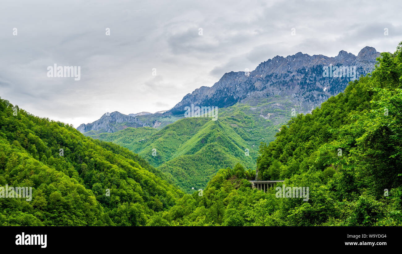 Montenegro, Green endless jungle like forest covering moraca canyon ...