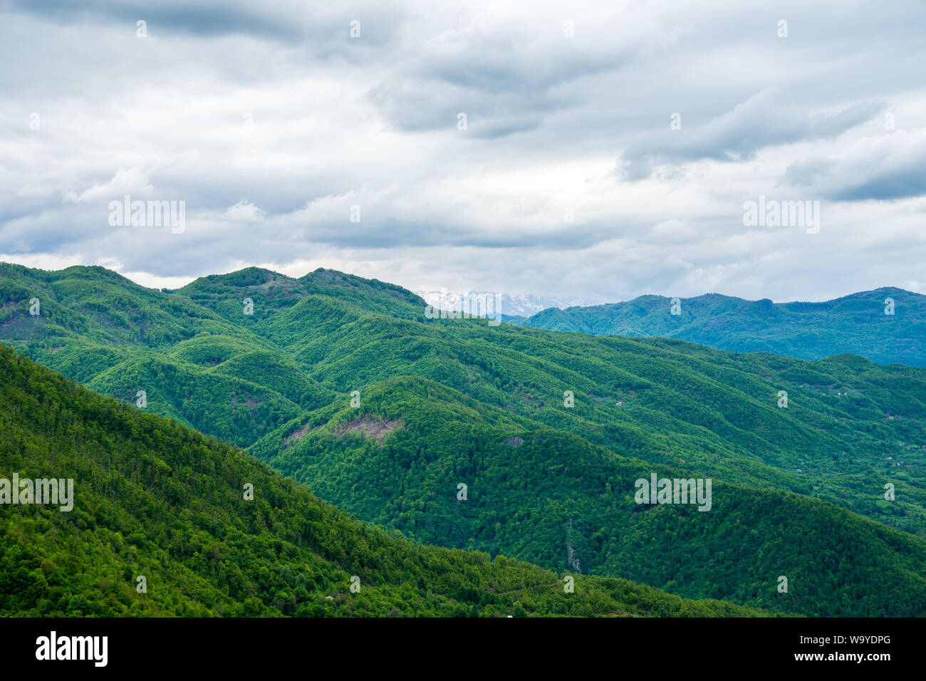 Montenegro, Endless untouched nature landscape of green forested valley ...
