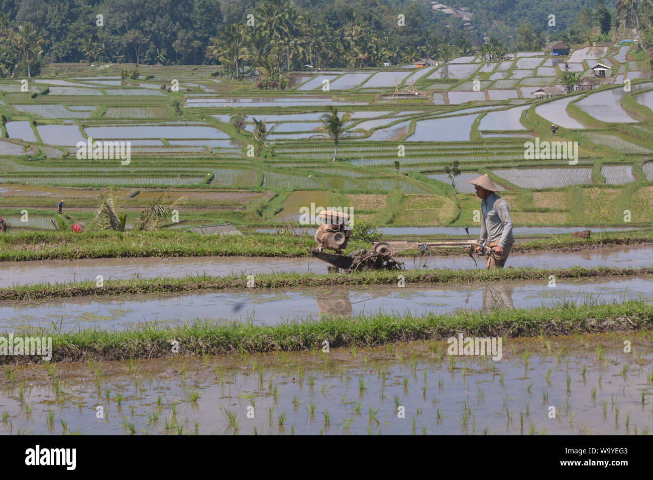 Weeding Machine High Resolution Stock Photography and Images - Alamy