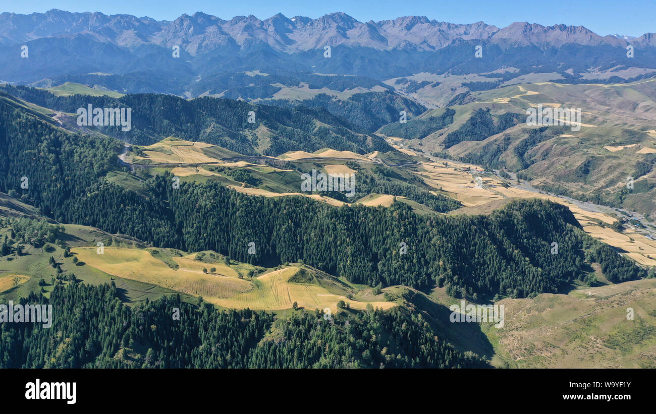 Xinjiang, Xinjiang, China. 16th Aug, 2019. Xinjiang, CHINA-In the ...