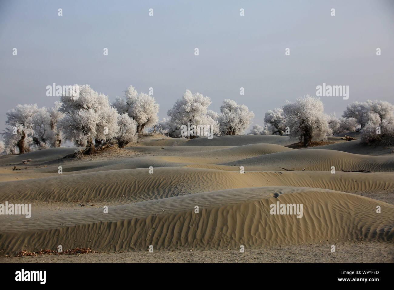 Taklamakan Desert Snow