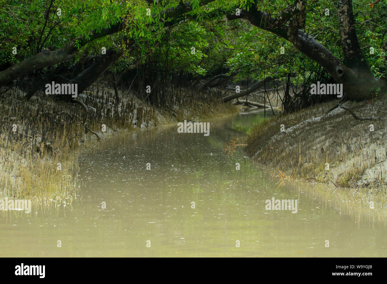 bangladesh; bangladeshi; beautiful Bangladesh; natural Bangladesh; asia ...