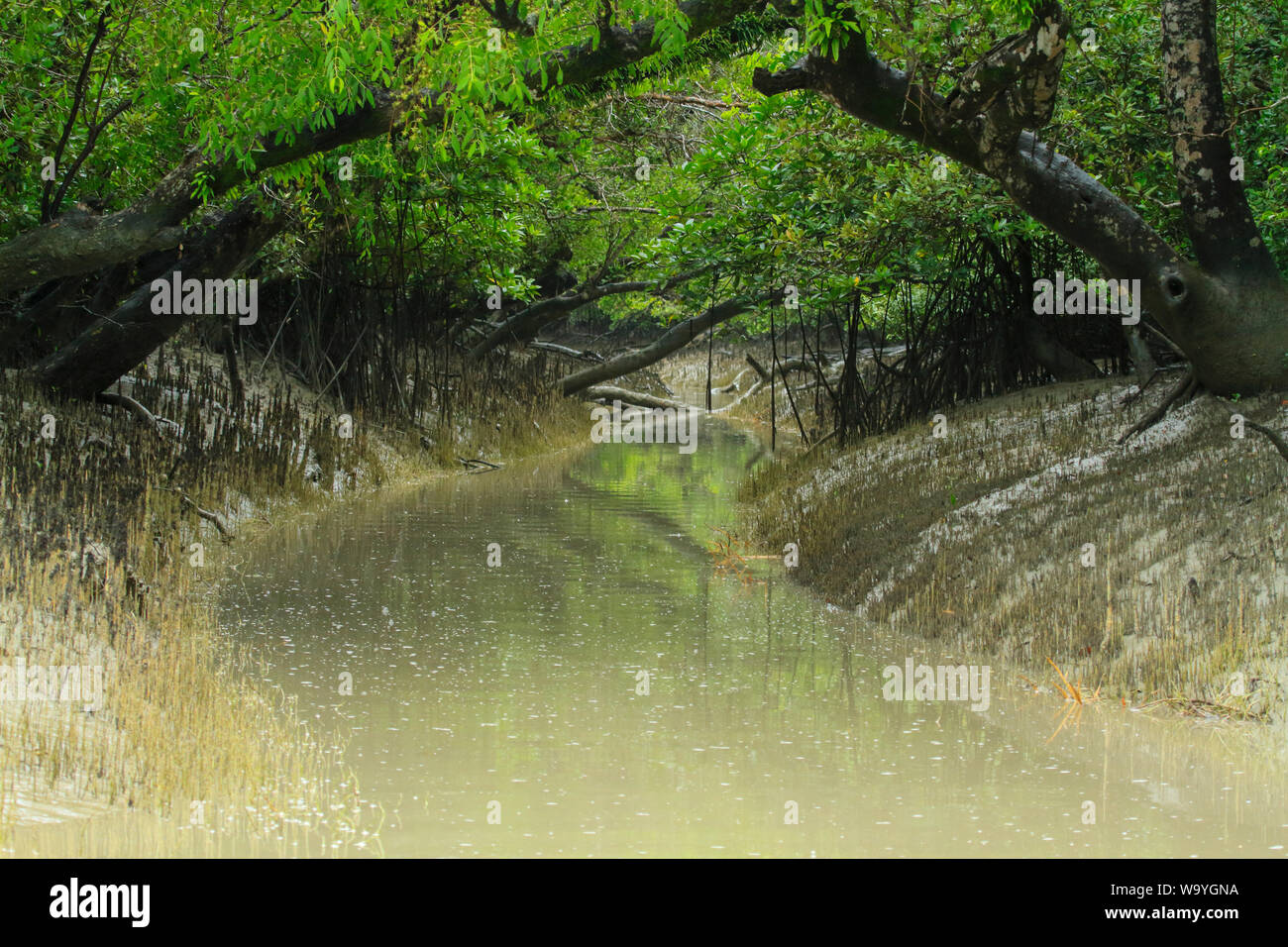 bangladesh; bangladeshi; beautiful Bangladesh; natural Bangladesh; asia ...