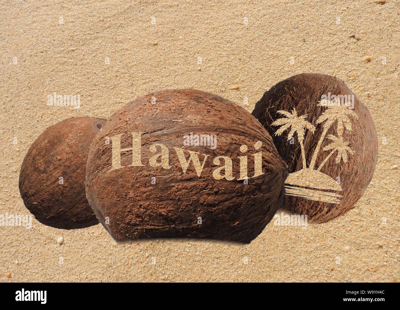 Coconuts with an engraving in the sand Stock Photo - Alamy