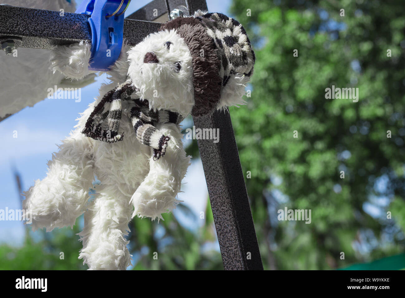 Teddy bear hanging on the towel rack is sunlight Stock Photo - Alamy