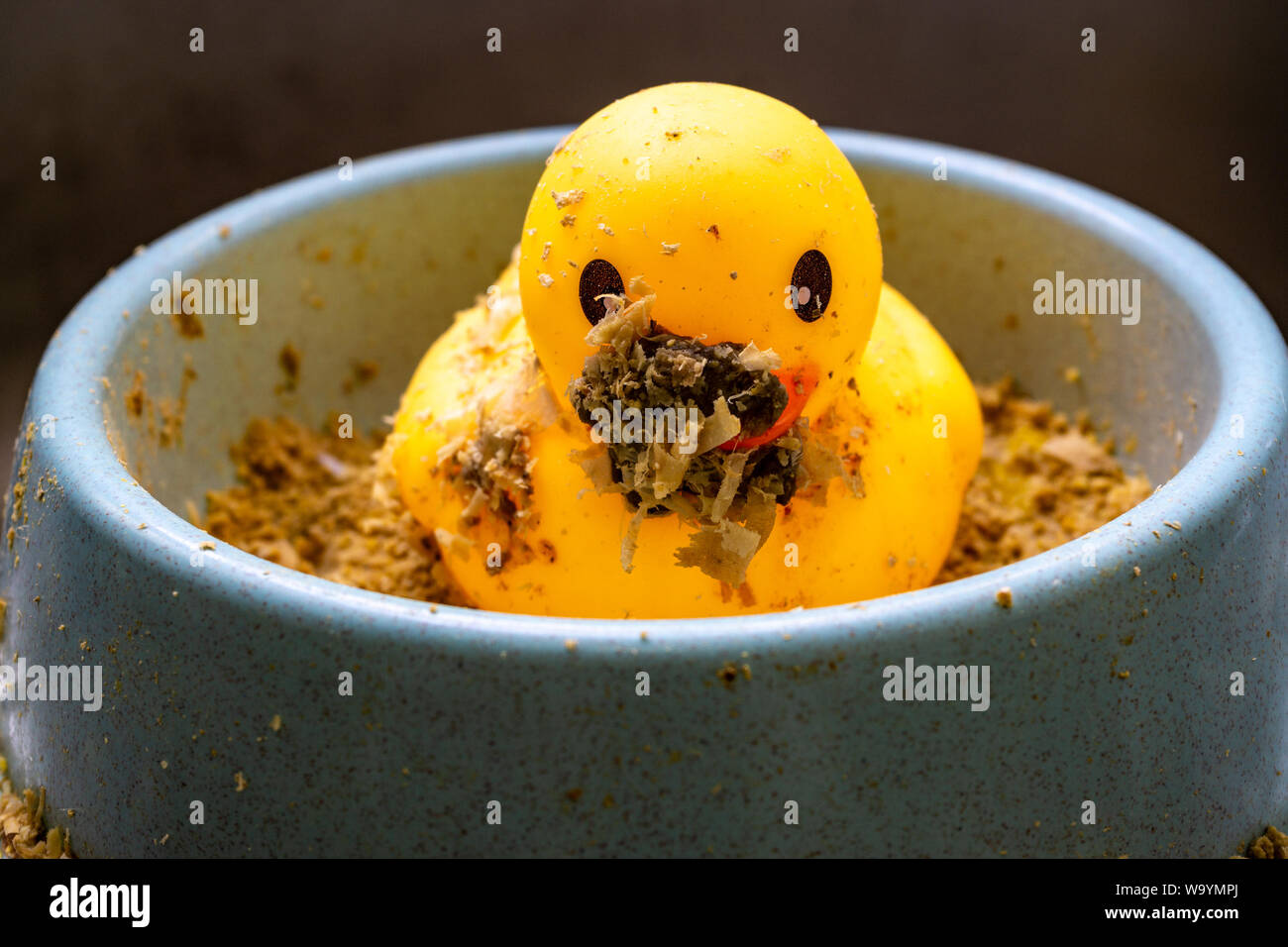 Poo on face Stock Photo - Alamy