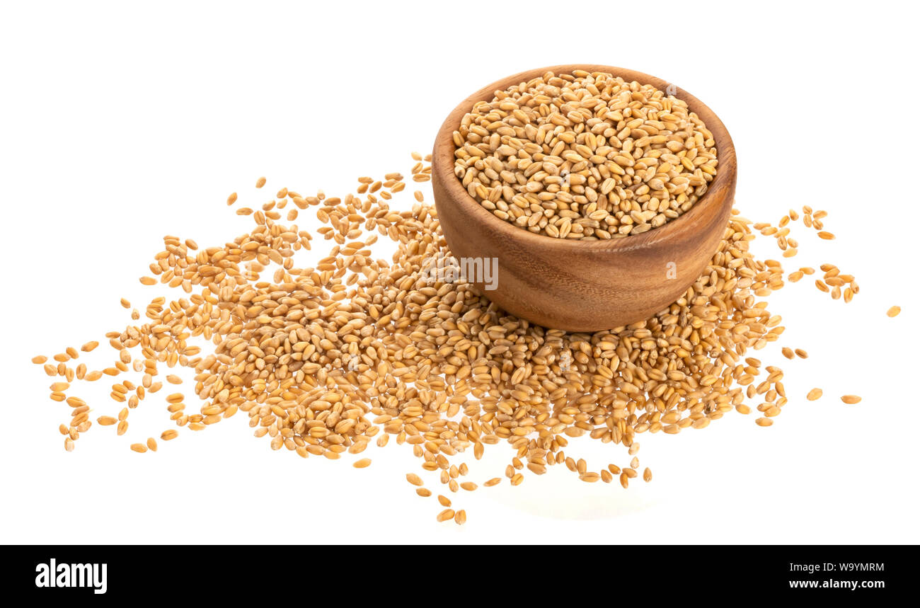 Wheat grains isolated on white background, top view Stock Photo - Alamy