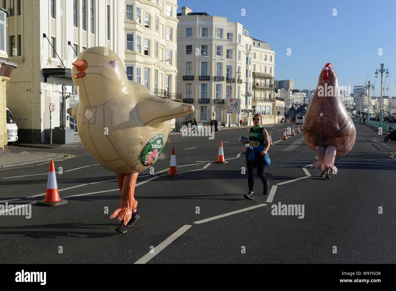 Chicken run costume hi-res stock photography and images - Alamy