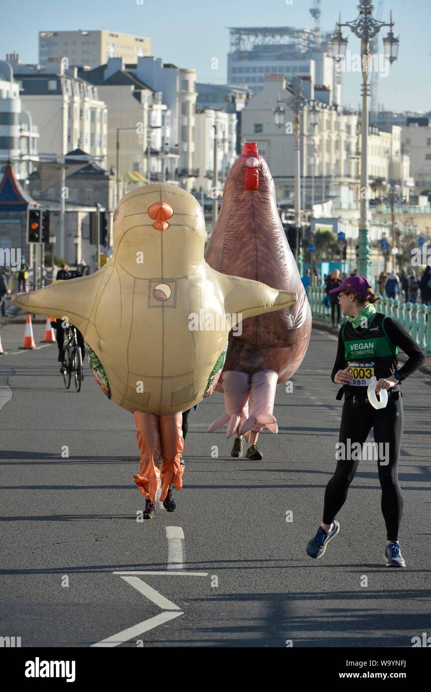 Chicken run costume hi-res stock photography and images - Alamy
