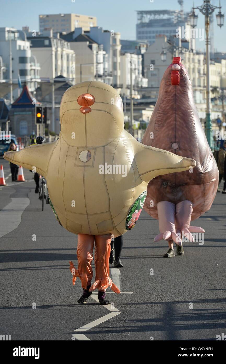 Chicken run costume hi-res stock photography and images - Alamy