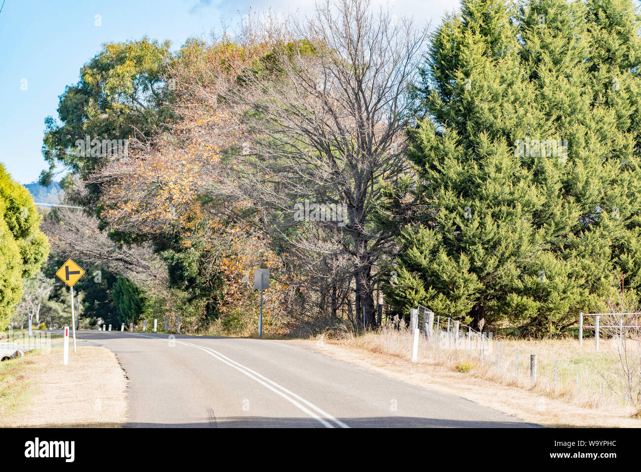 A quiet tree lined country road with a T intersection sign near the ...
