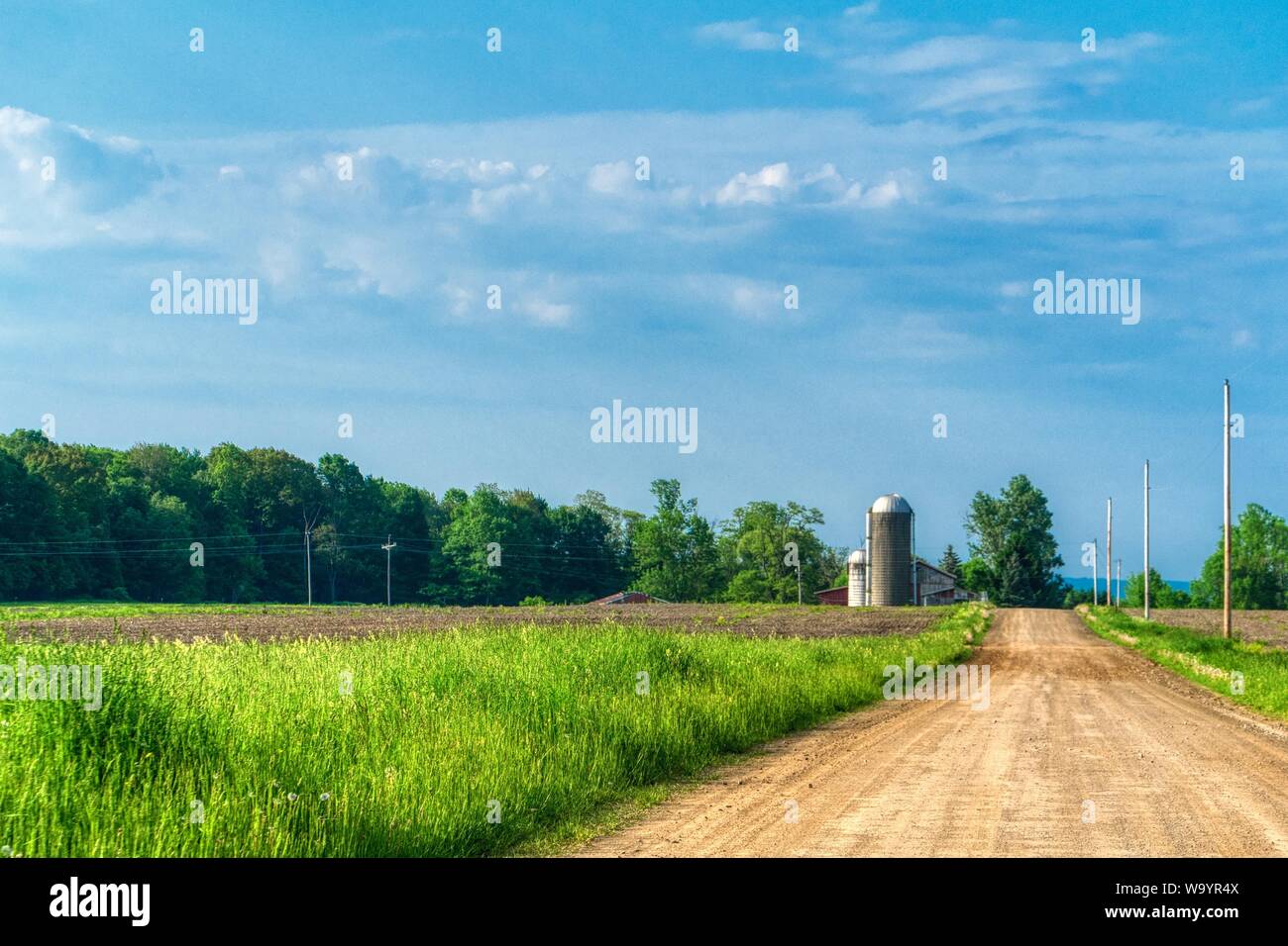 Beautiful shot of a countryside road with a field on the side and a ...