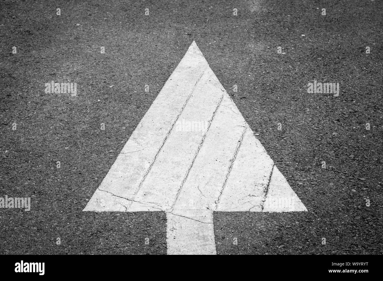 Arrow symbol traffic on the road asphalt. Sign of further progress ...