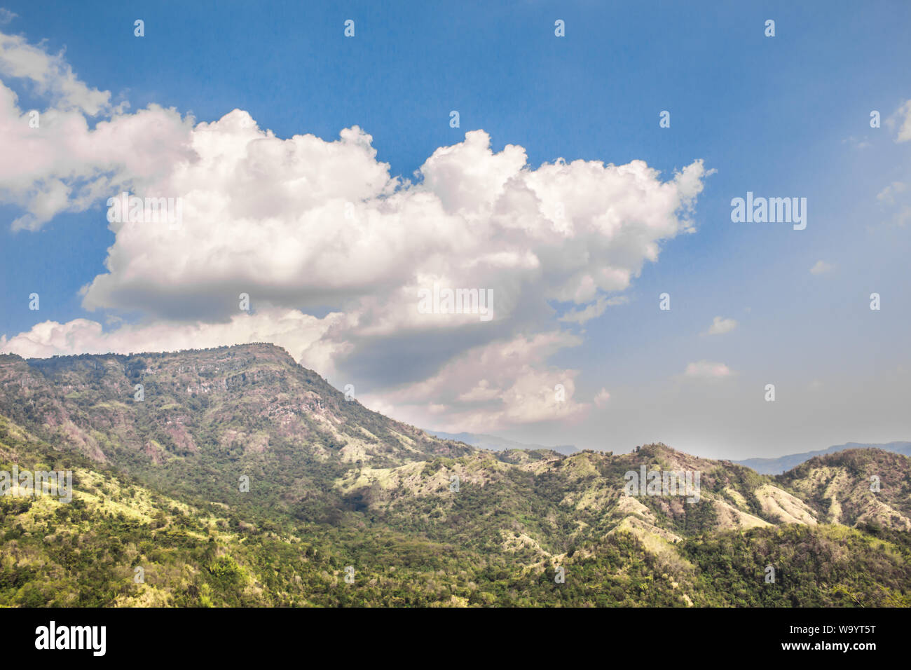 Landscape in the daytime with the sunlight in the summer Stock Photo ...
