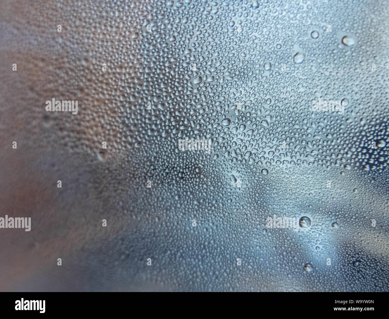 A lot of water drops inside plastic bottle Stock Photo - Alamy