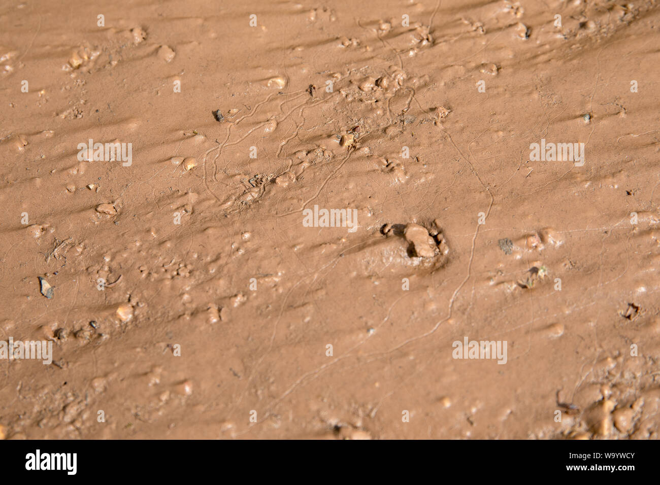Mud texture background. Natural disaster Stock Photo - Alamy