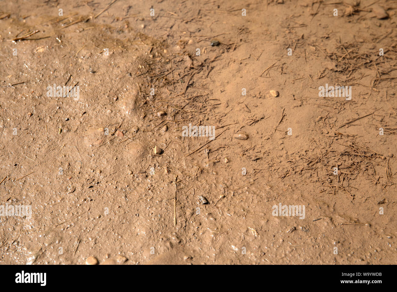 Mud texture background. Natural disaster Stock Photo - Alamy