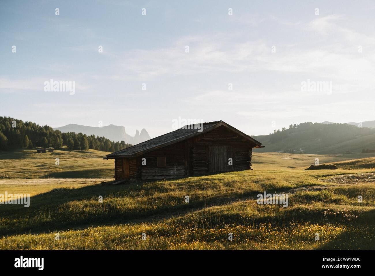 Shot of small wooden cabin on a grass field surrounded by trees Stock ...