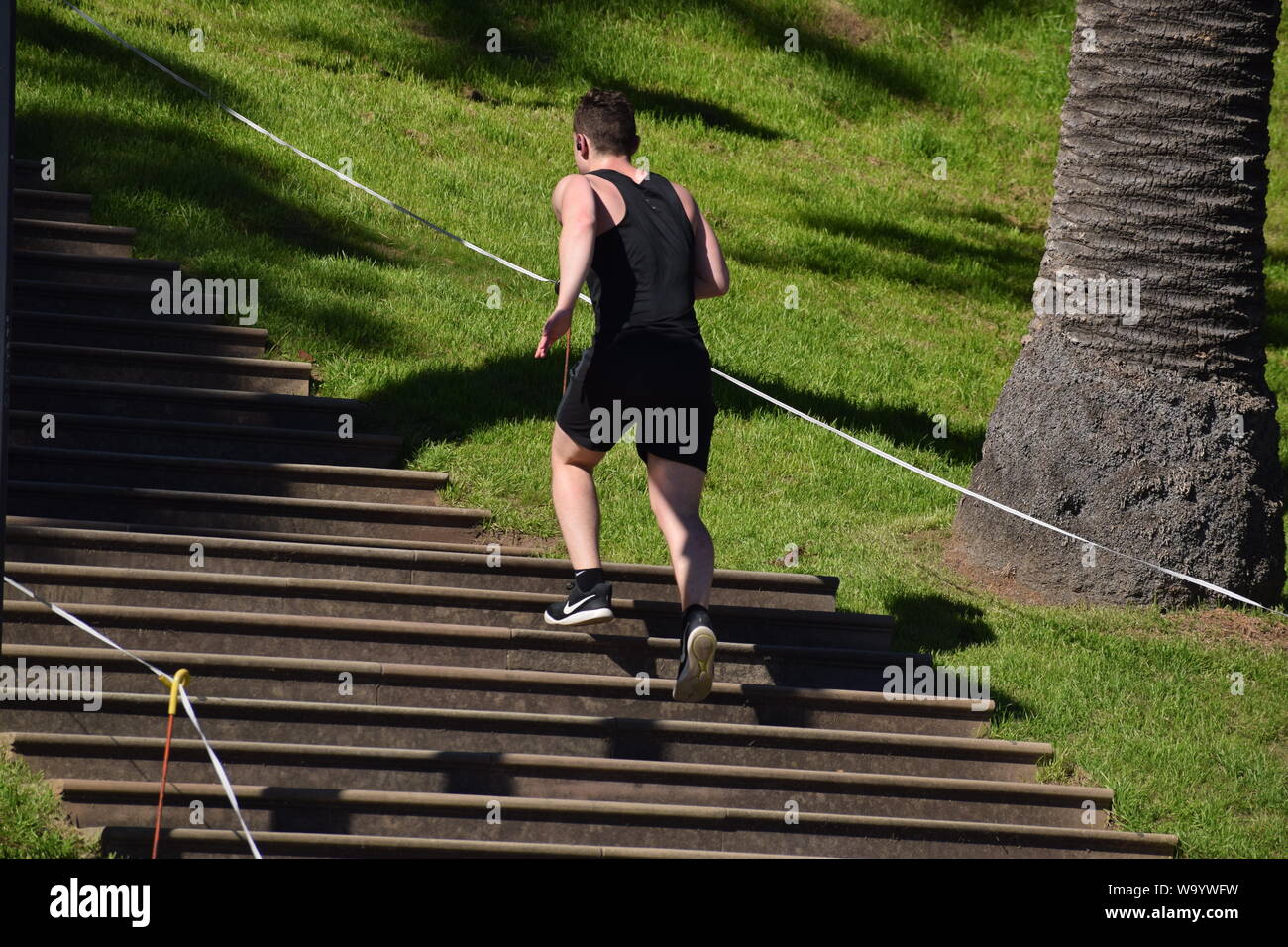 Exercise companion hi-res stock photography and images - Alamy