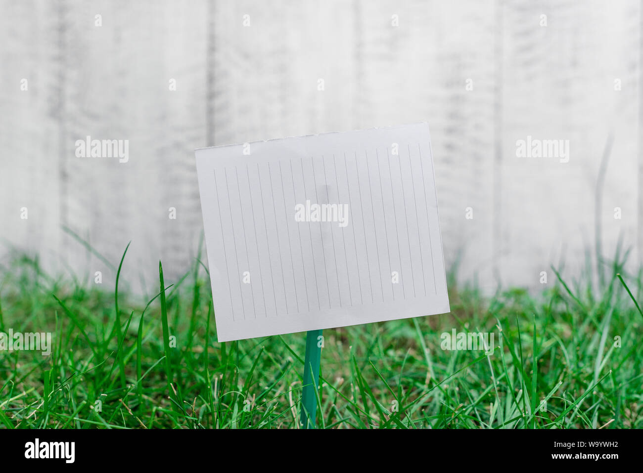 Plain empty paper attached to a stick and placed in the green grassy ...