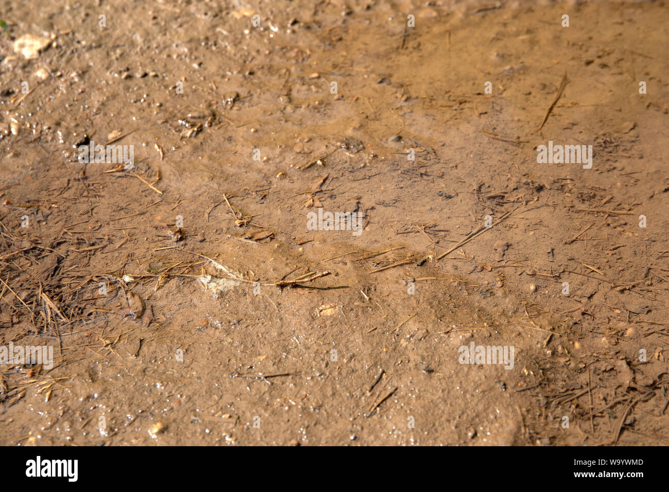 Mud texture background. Natural disaster Stock Photo - Alamy