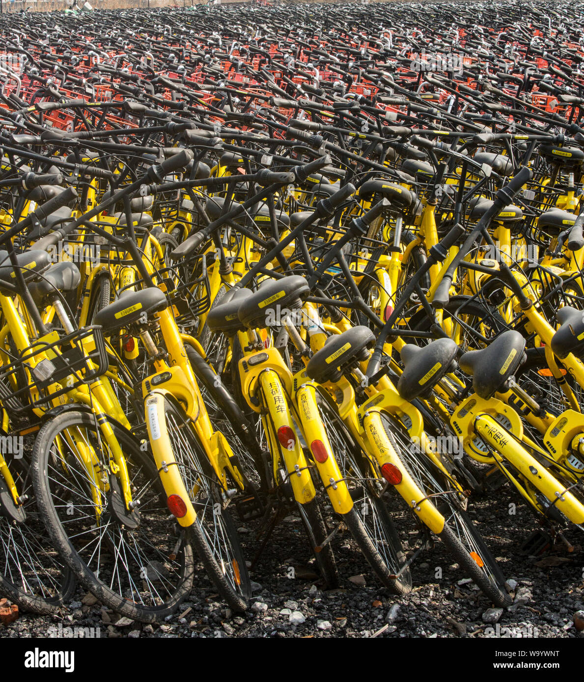 CHINESE BIKE SHARE GRAVEYARD A MONUMENT TO INDUSTRY 'S ARROGANCE Stock ...