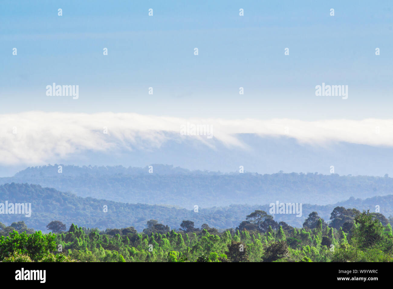 Landscape in the daytime with the sunlight in the summer Stock Photo ...
