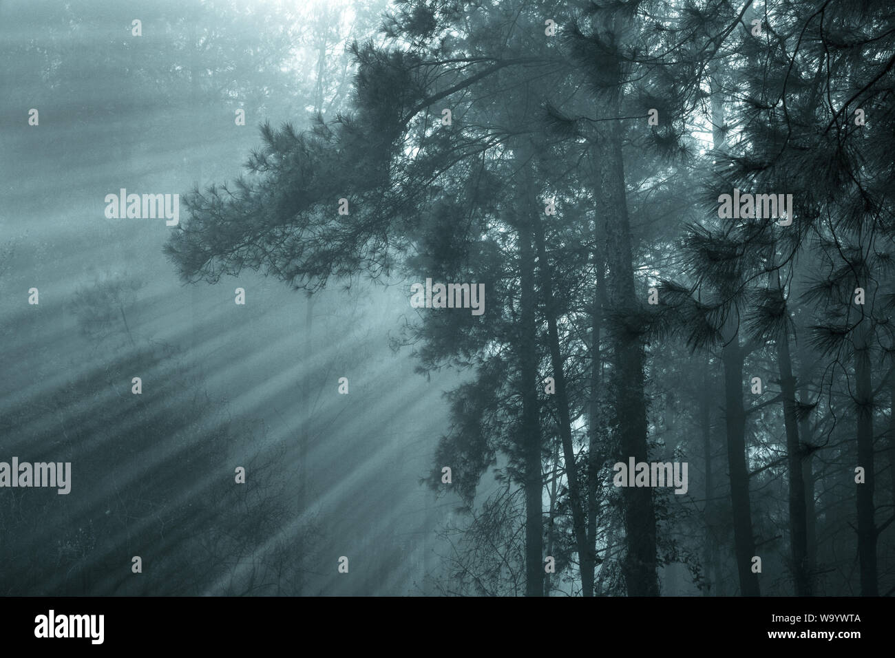 China chongqing visual hi-res stock photography and images - Alamy