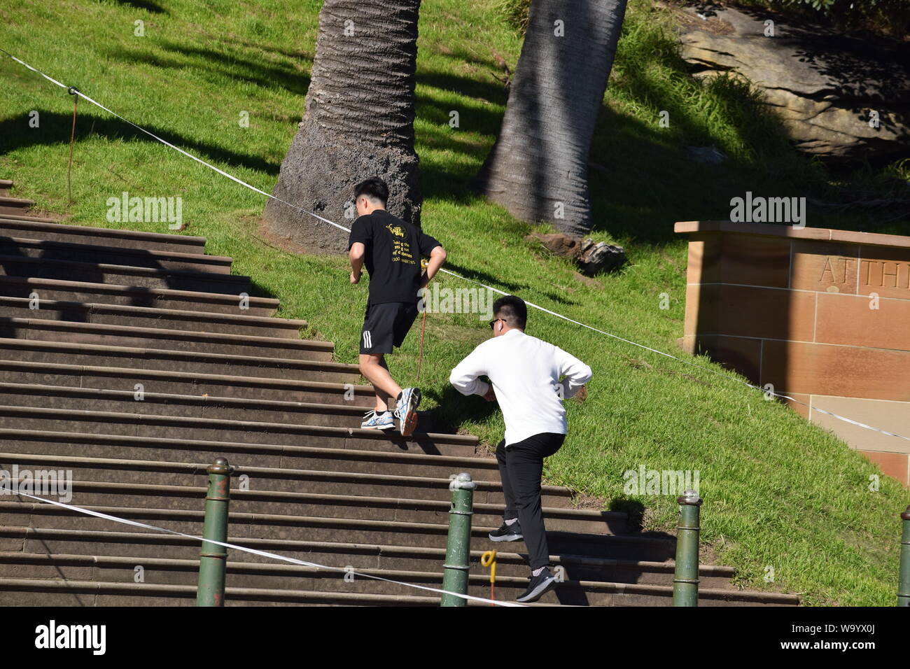 Exercise companion hi-res stock photography and images - Alamy