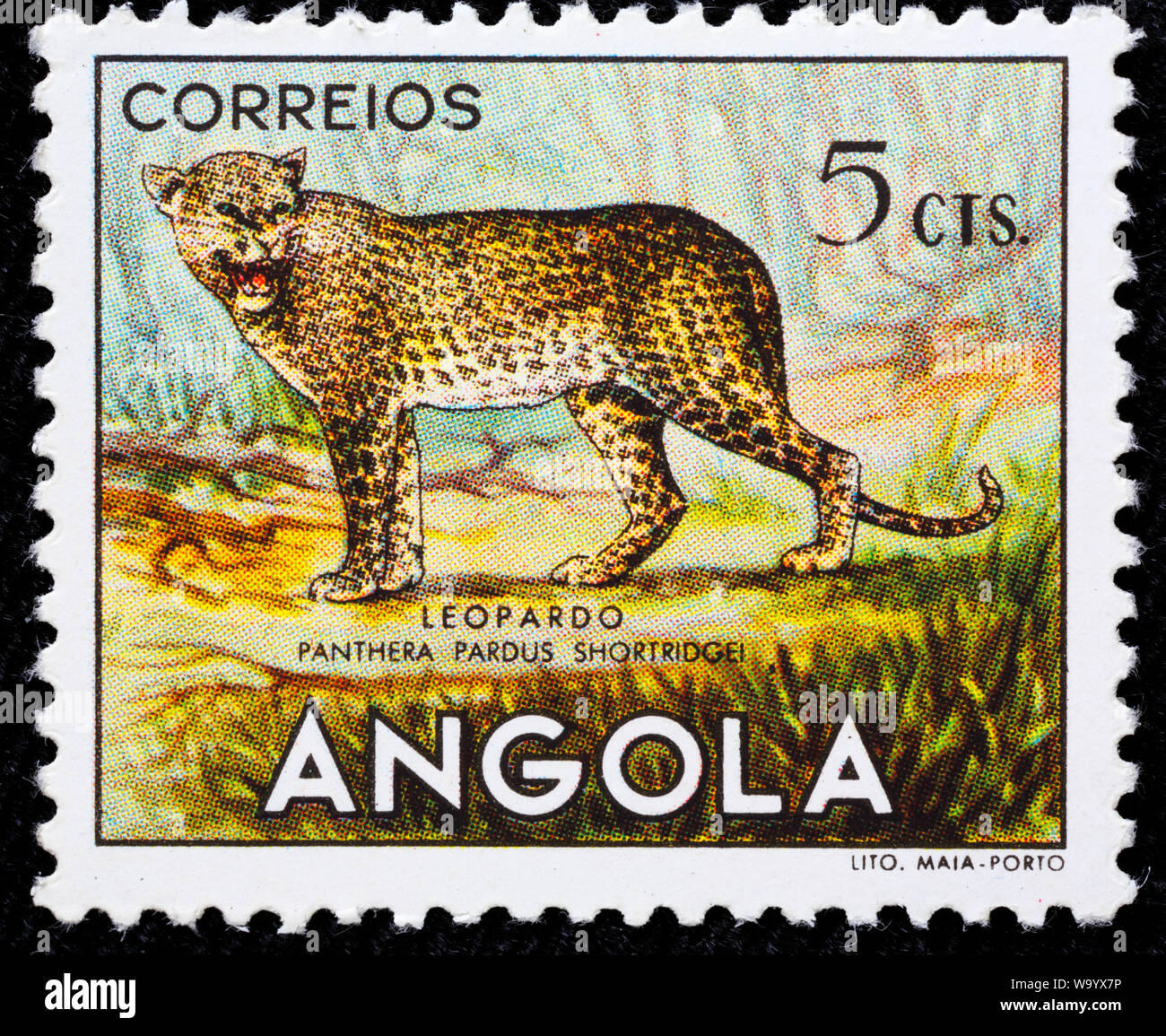 Leopard, Panthera pardus, postage stamp, Angola, 1953 Stock Photo - Alamy