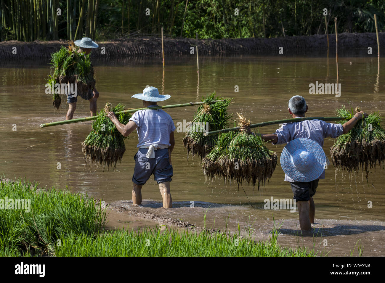 Rural scene at day hi-res stock photography and images - Alamy