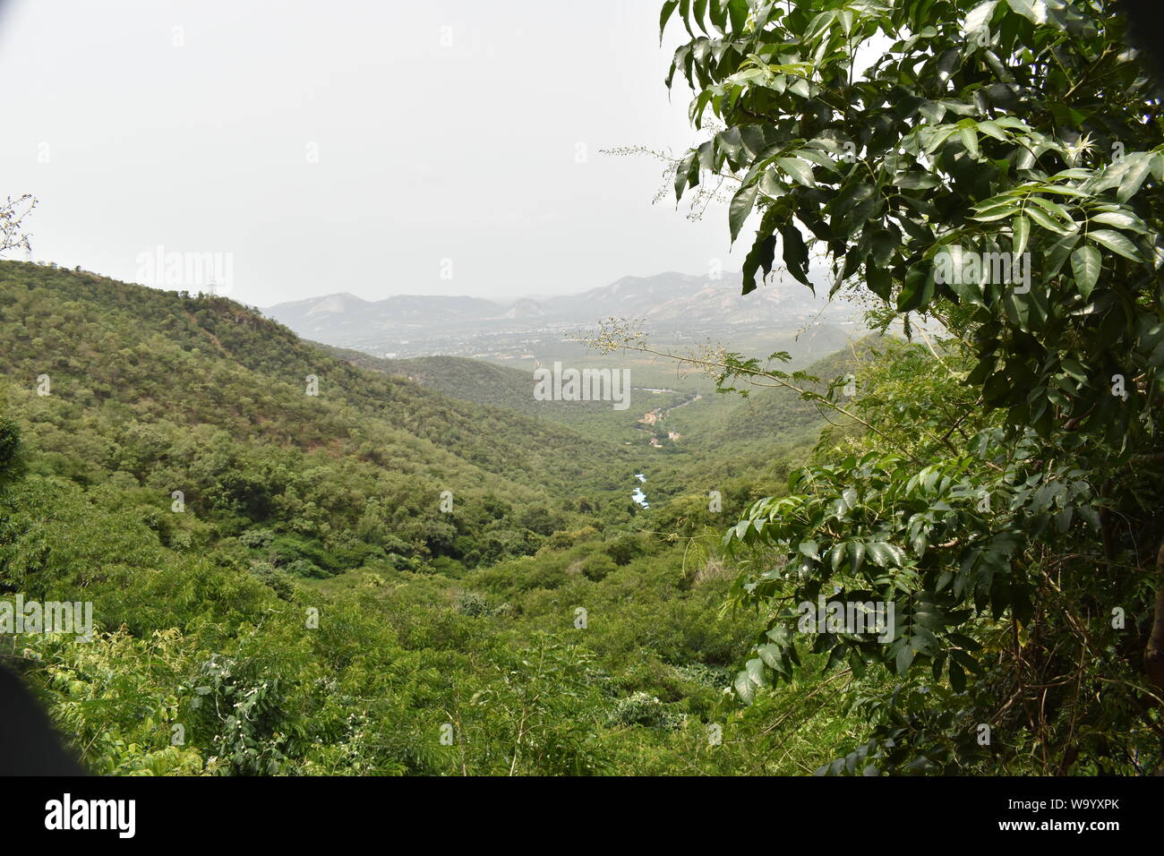 A view of distance hills from the top of hill with fog background Stock ...