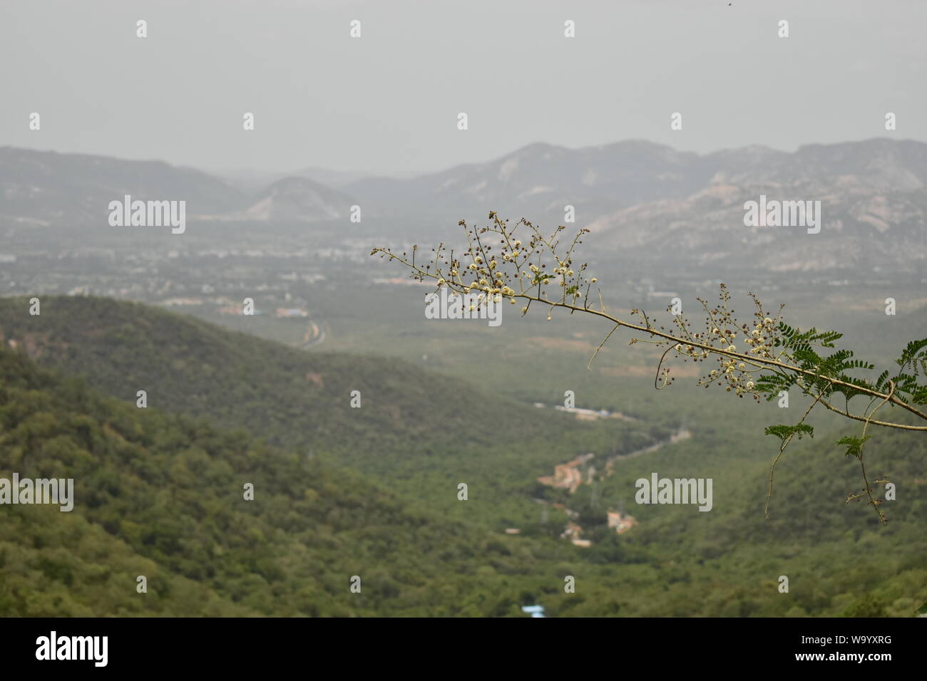 A view of distance hills from the top of hill with fog background Stock ...