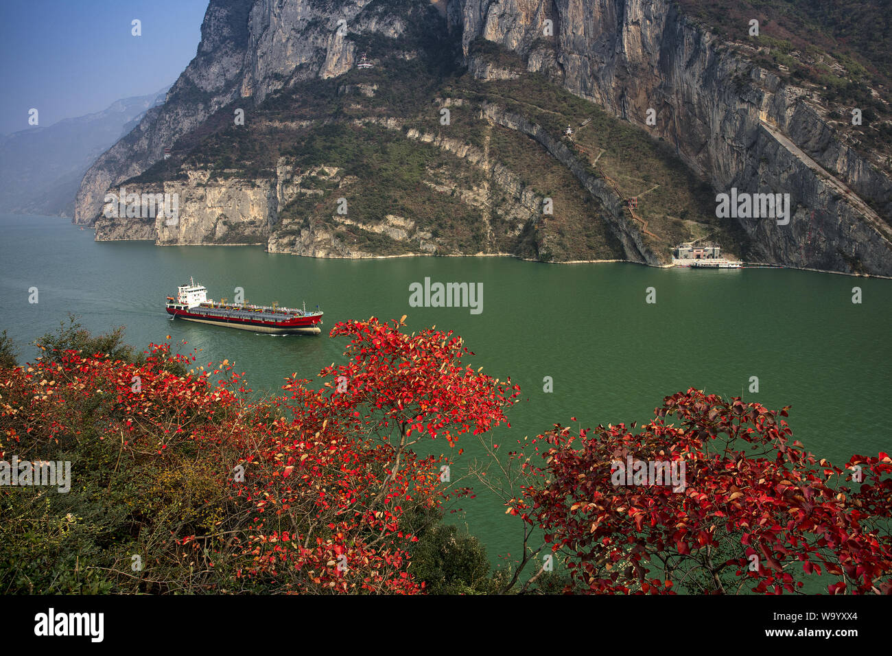 Wu gorge chongqing maple leaves Stock Photo - Alamy