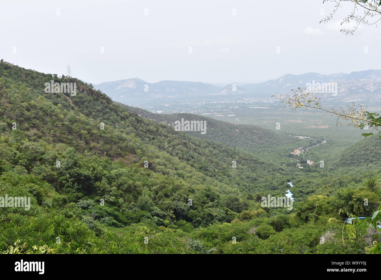 A view of green forest and the sky on hills from the top of hill Stock ...