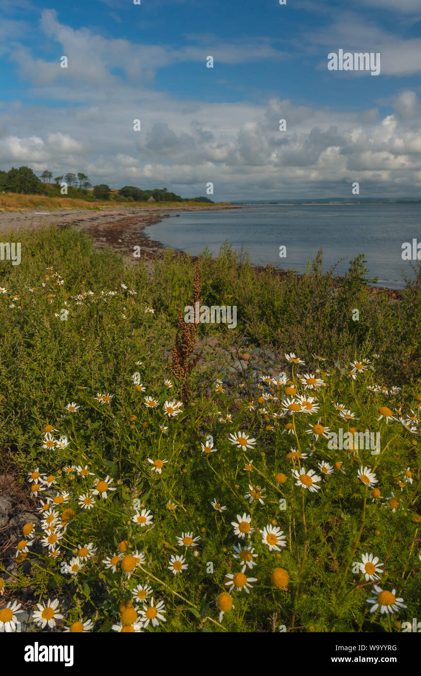 Luce Bay, Dumfries & Galloway, Scotland Stock Photo - Alamy