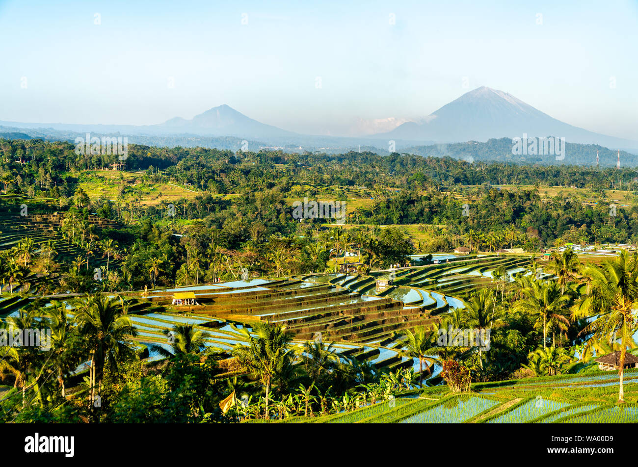 Rice terraces on bali hi-res stock photography and images - Alamy