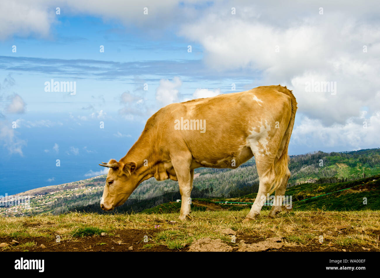 Relaxed slope hi-res stock photography and images - Alamy