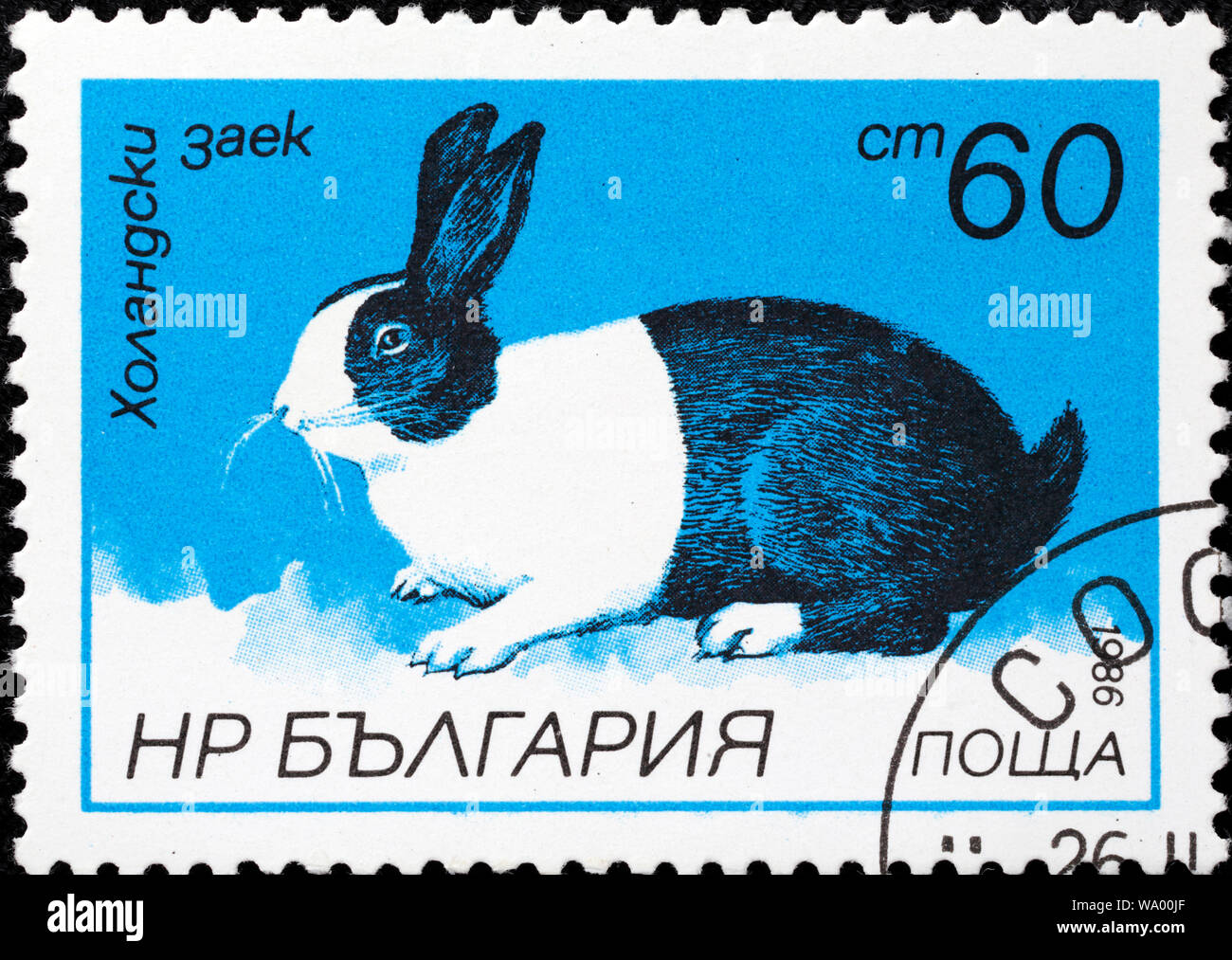 Rabbit stamp hi-res stock photography and images - Alamy