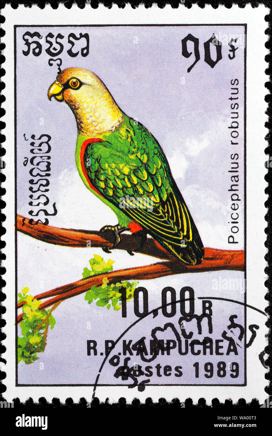 Cape Parrot, Poicephalus robustus, postage stamp, Cambodia, Kampuchea ...