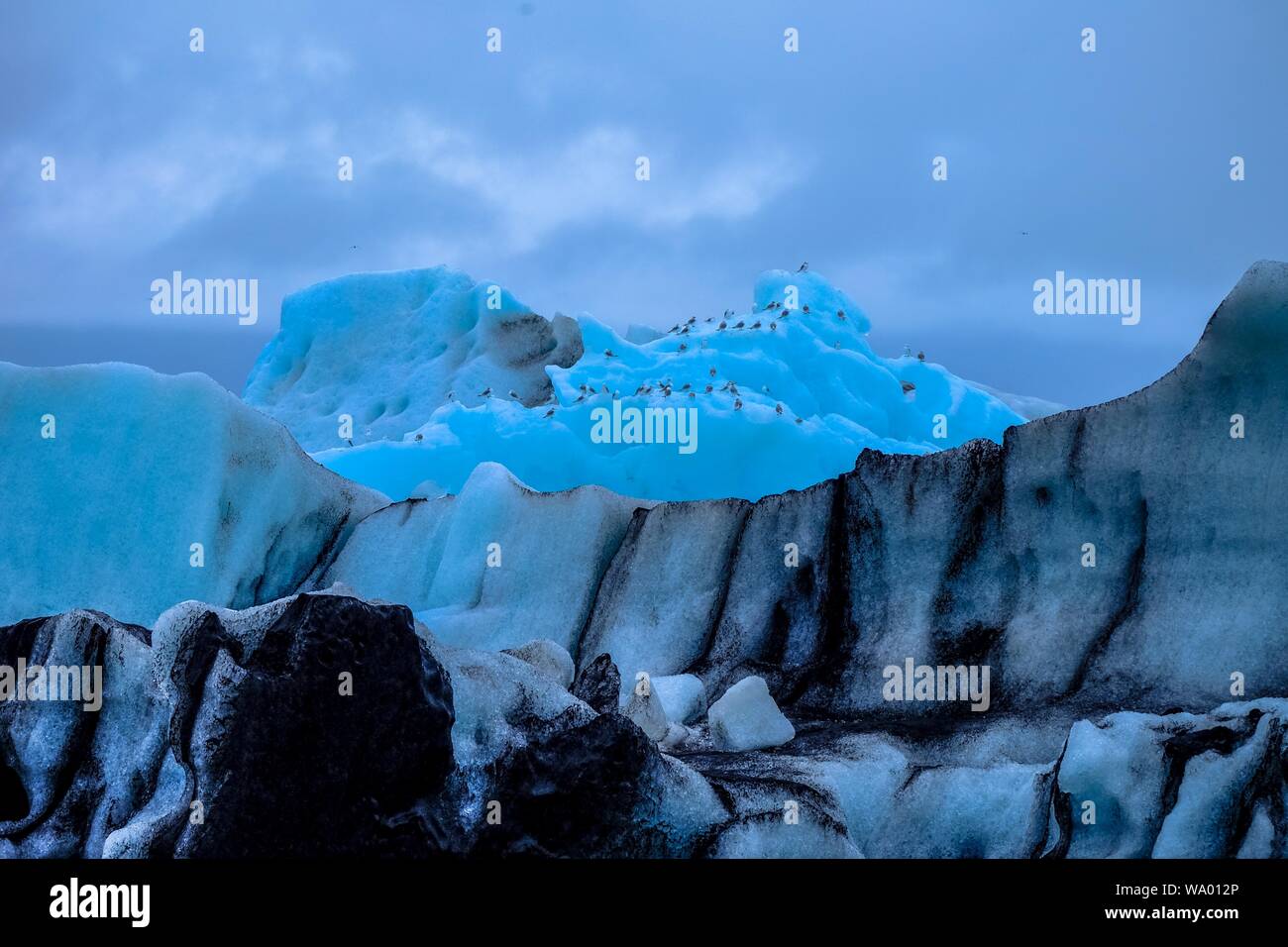 Iceberg infographic underwater design hi-res stock photography and ...