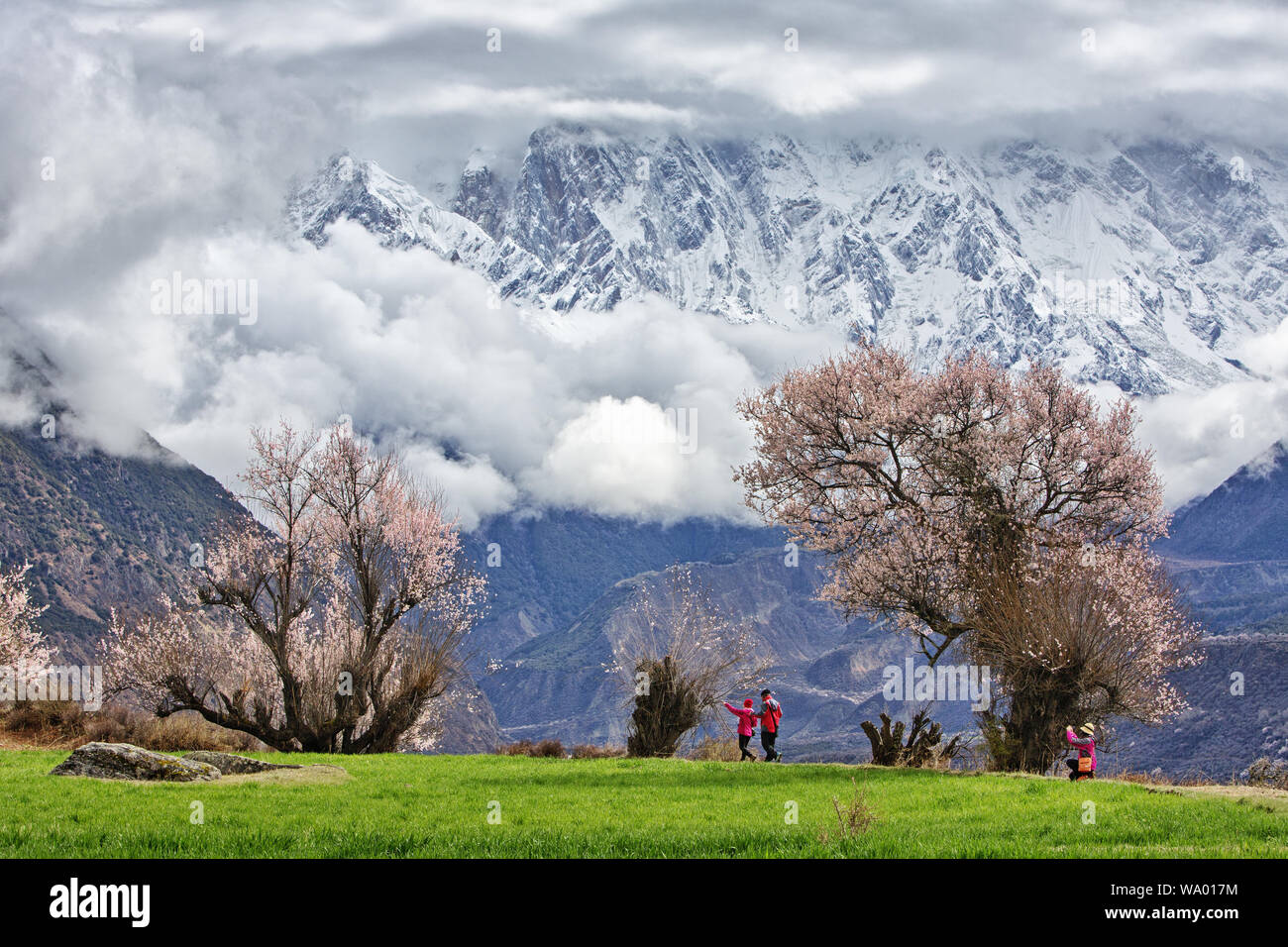 Bomi tibet tourism hi-res stock photography and images - Alamy