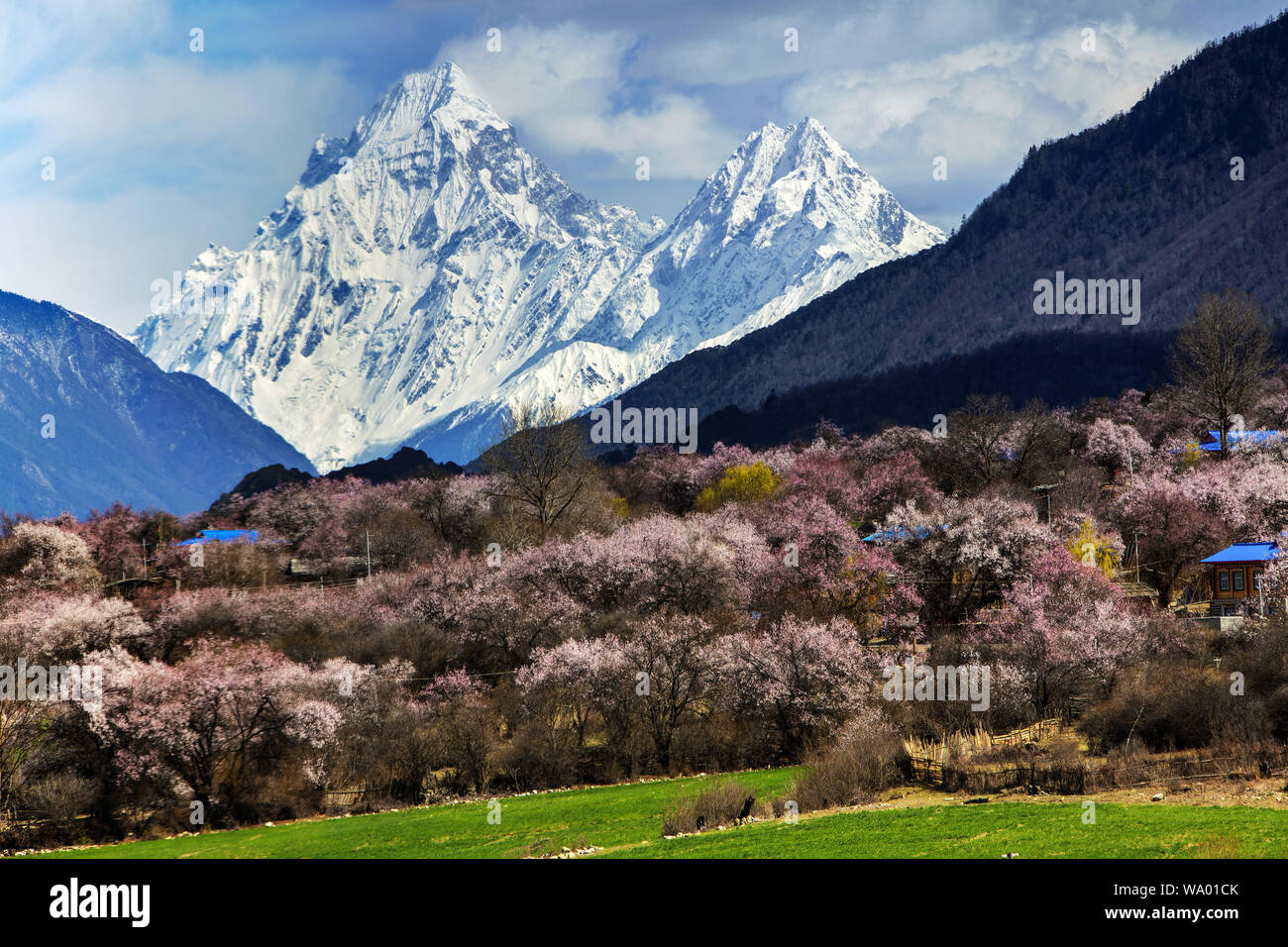 Bomi tibet tourism hi-res stock photography and images - Alamy
