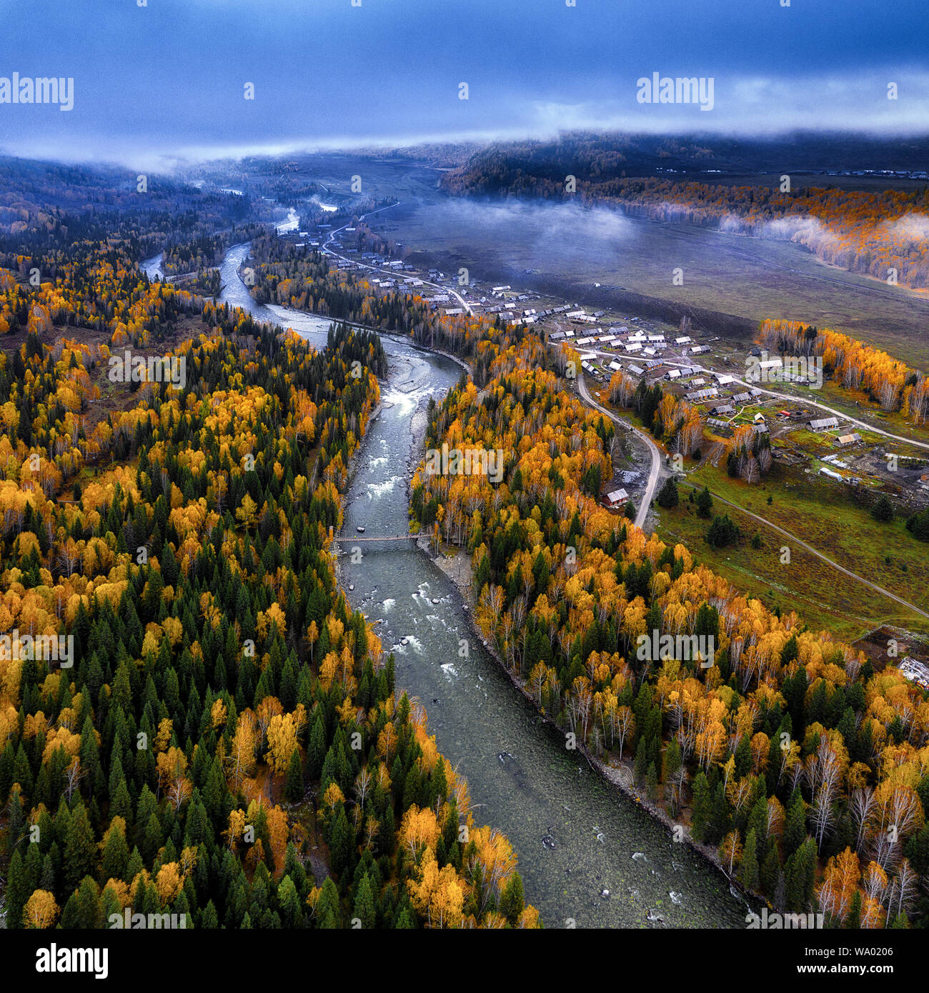 Xinjiang hetian kimura is ablaze Stock Photo - Alamy
