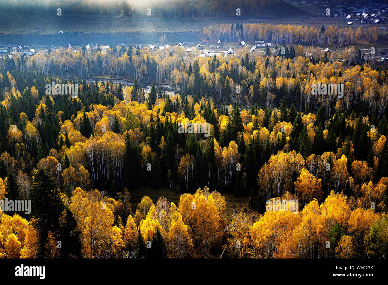 Xinjiang hetian kimura is ablaze Stock Photo - Alamy