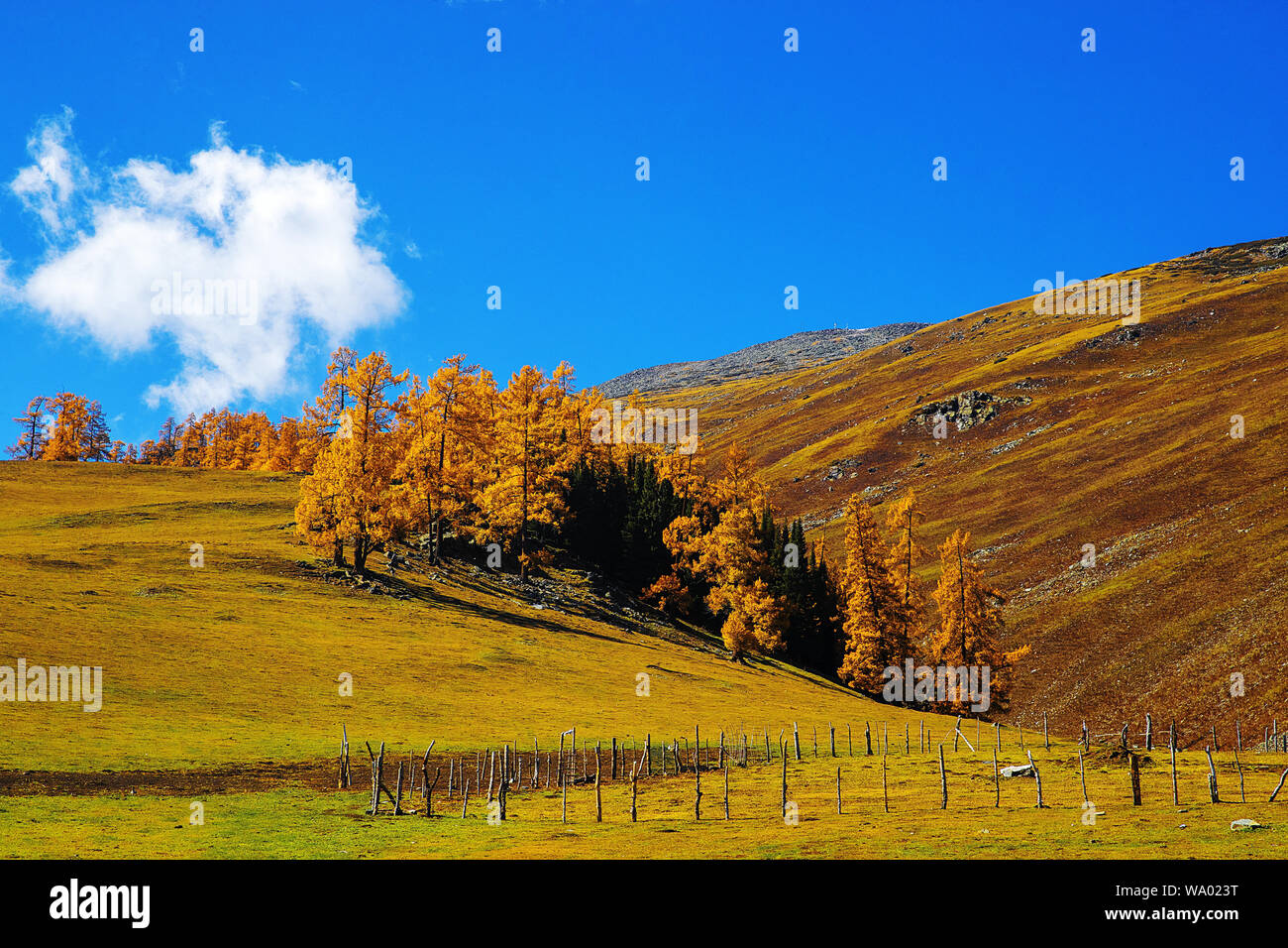 Xinjiang altay scenery Stock Photo - Alamy