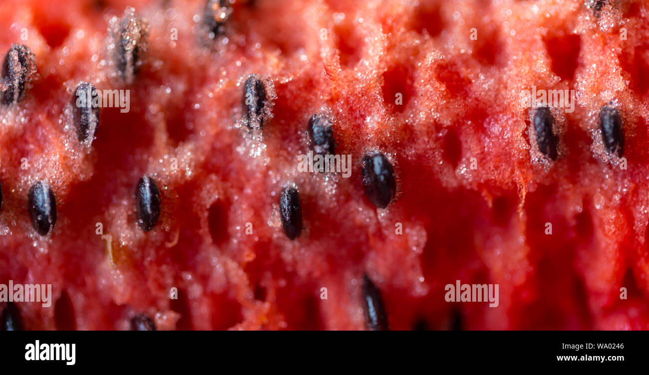background with watermelon and beans Stock Photo - Alamy